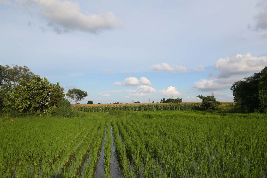 Planet Green Infra Hyderabad